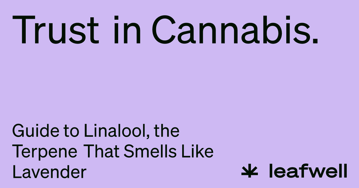 What Is Linalool? Benefits, Uses, and Where to Find It